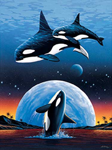 Springende Wale, Alan Metz - Dufex Alubild 16x21 cm | Fantastic Pictures