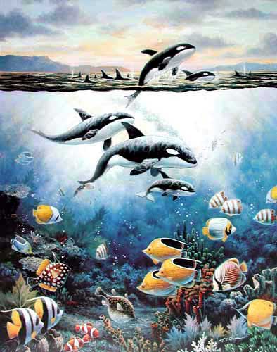 Springende Schwertwale von Alan Metz - Dufex Alu Bild 16x21 cm ...